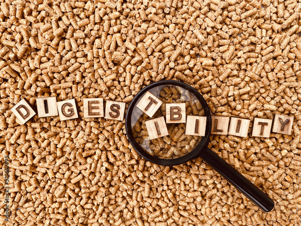 Animal Pellet Feed and digestibility. Image for Feed quality, feed ...
