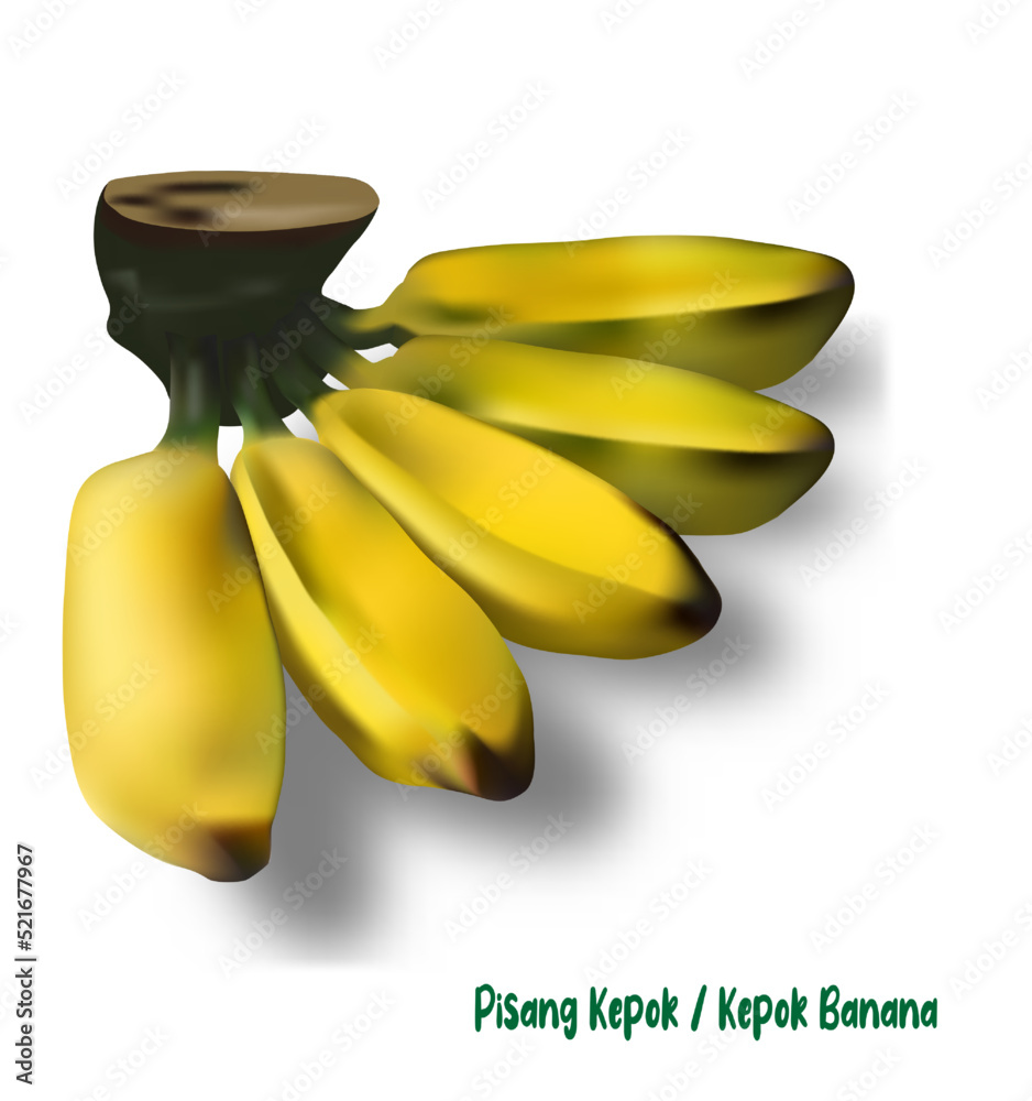 Saba Banana Best Vector. Saba banana peel. saba banana characteristics ...