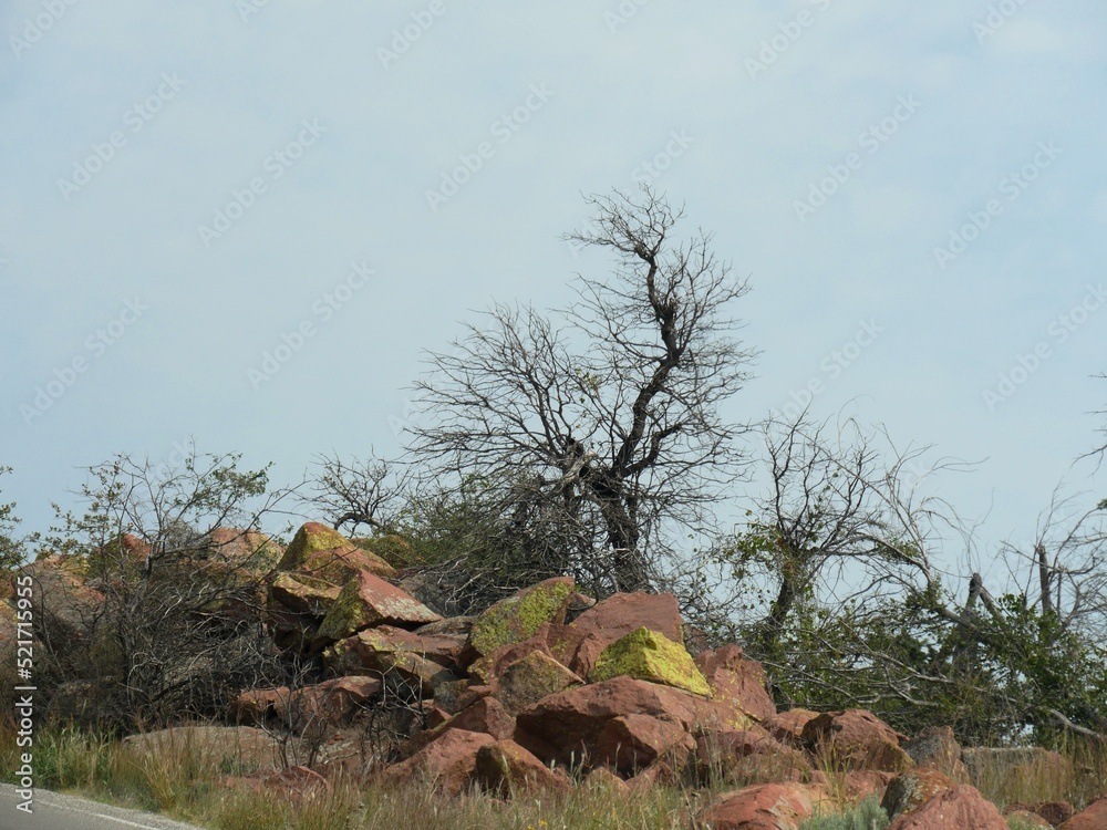 Big red rocks and boulders with leafless trees around Stock Photo ...