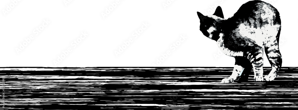 Vector drawing of scared cat looking back - wallpaper with writing ...