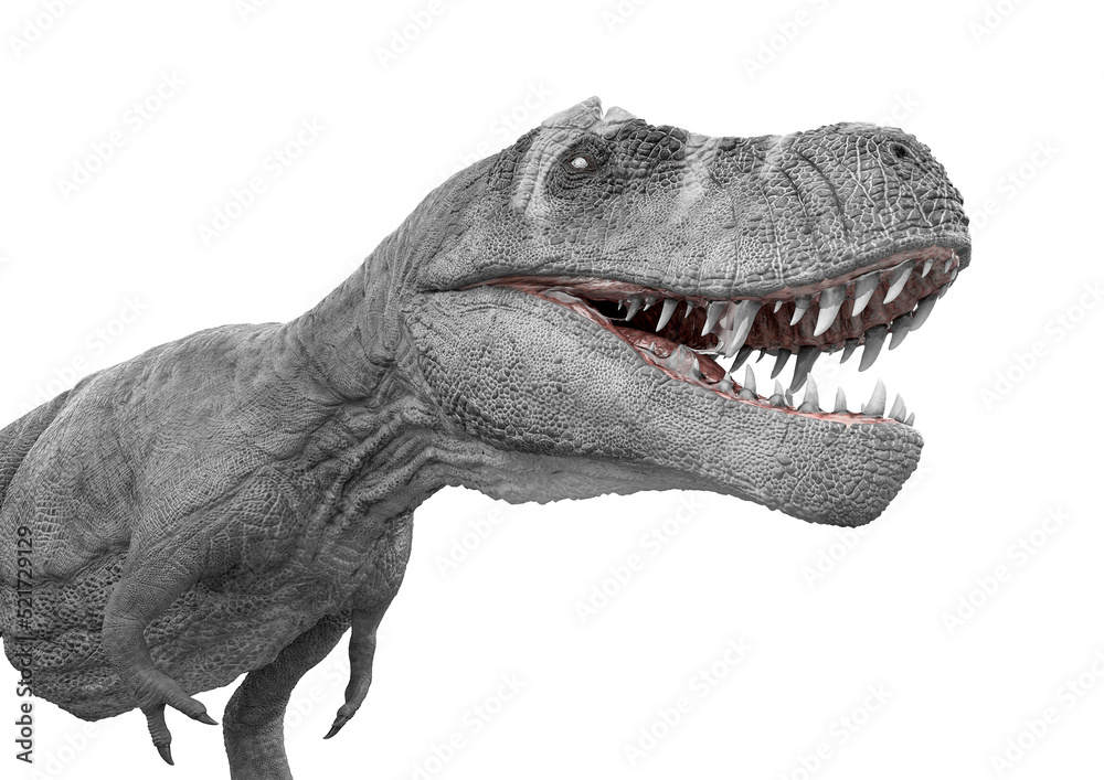 tyrannosaurus rex side view Stock Illustration | Adobe Stock