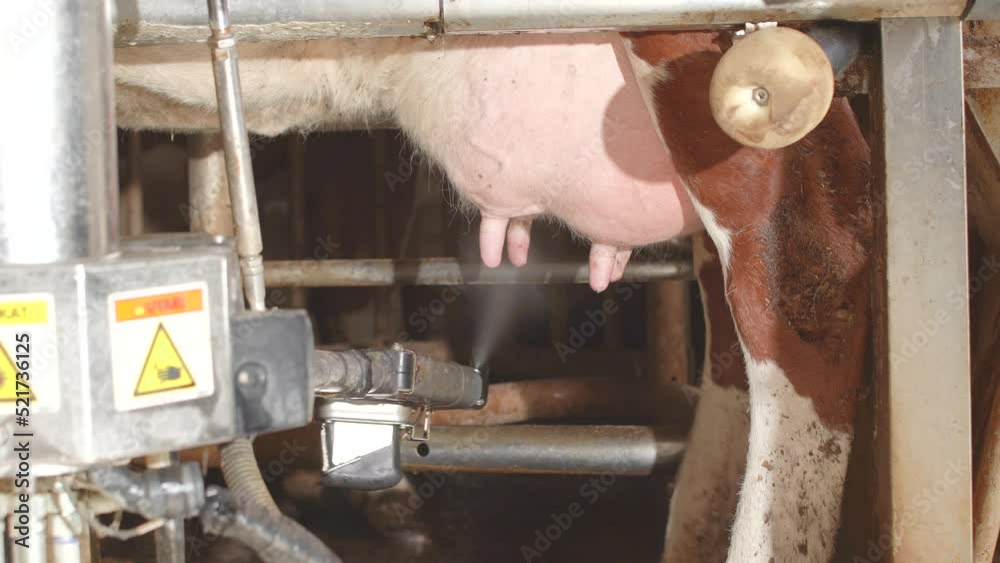 Automatic milking machine. The automatic milking machine takes the ...