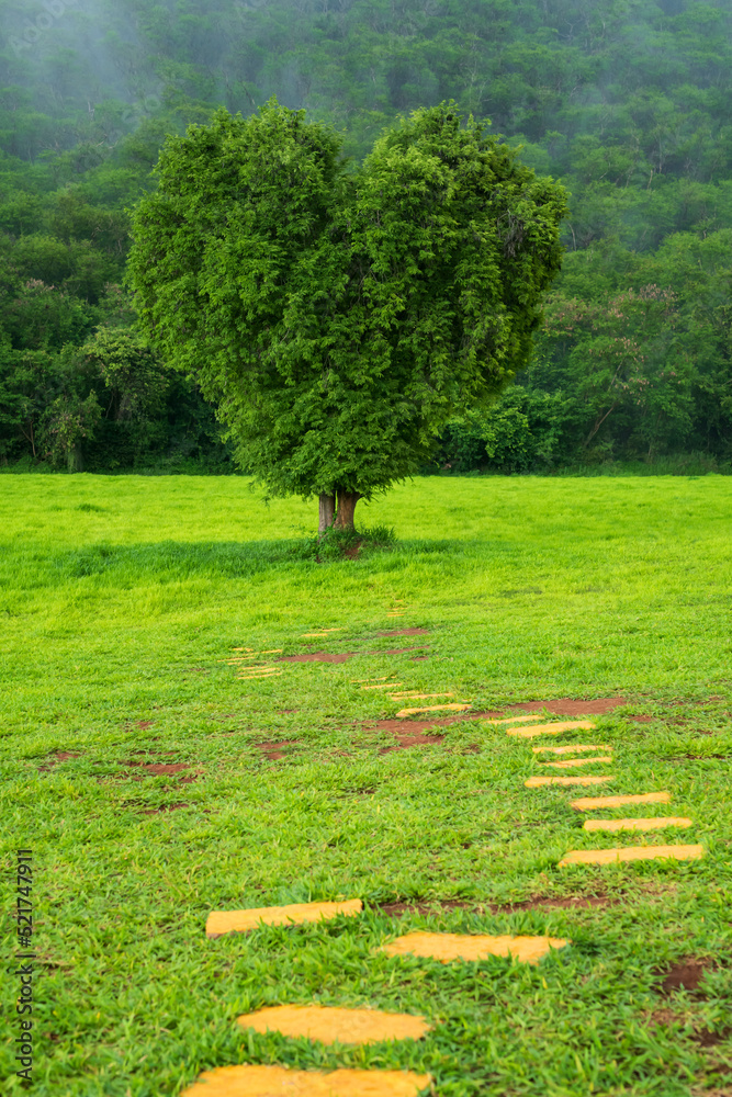 big green tree in heart shape with white mist at spring Stock Photo ...