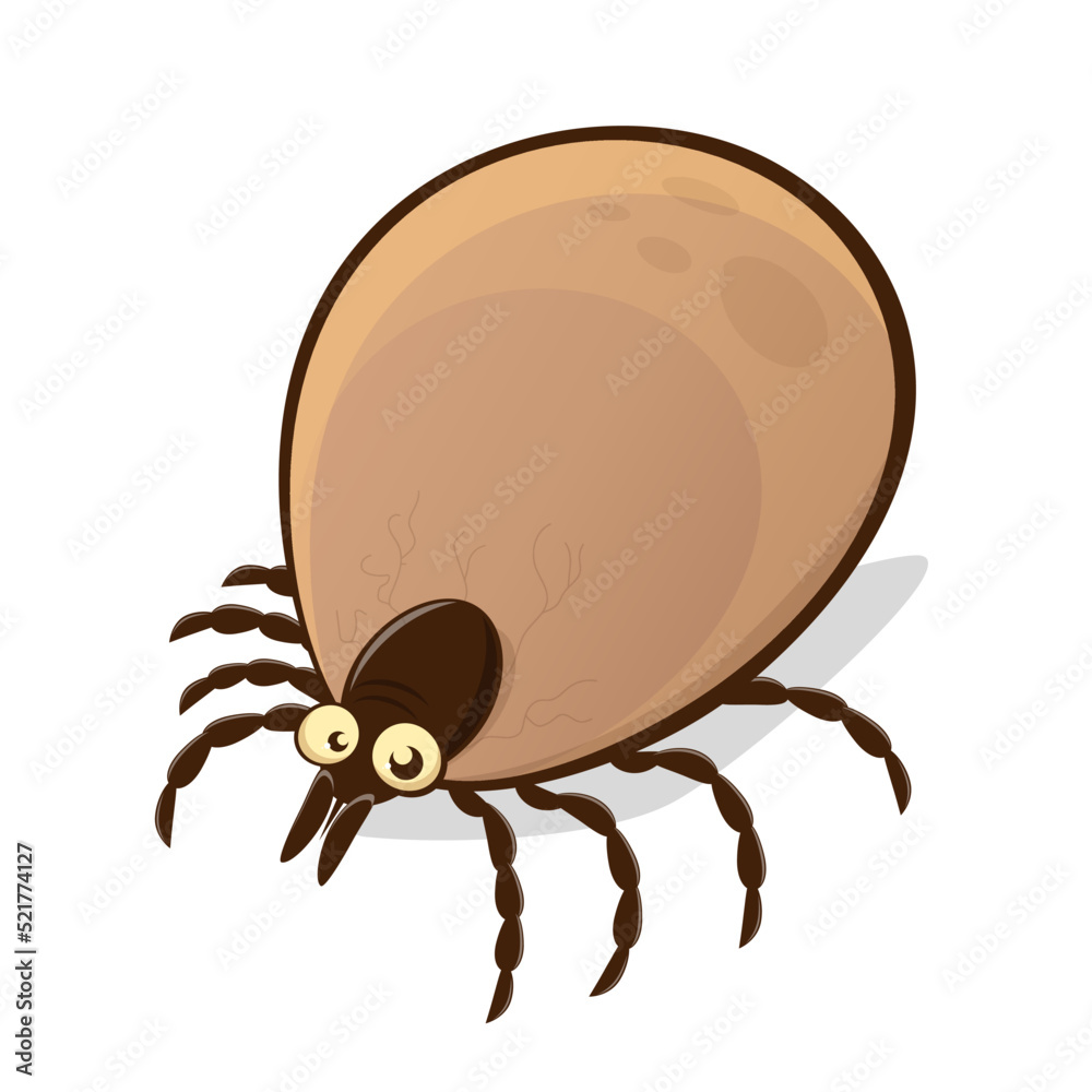 vector illustration of a funny cartoon tick Stock Vector | Adobe Stock