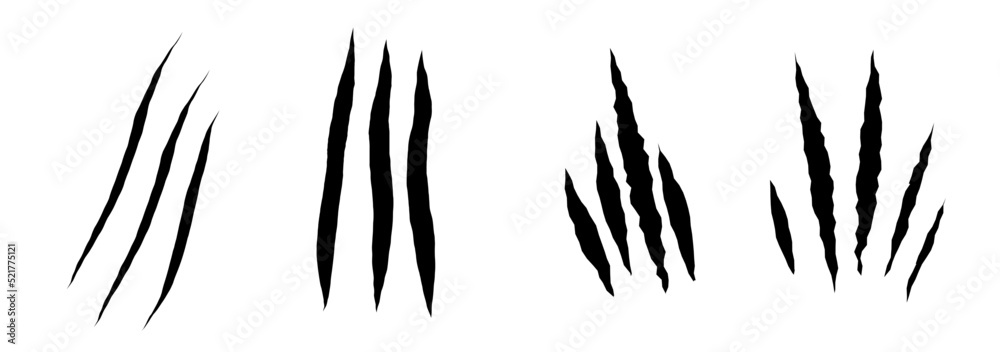 Cat Scratches Vector