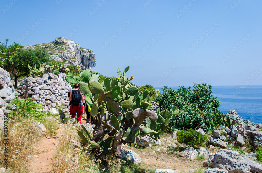 Escursionisti in cammino lungo il Sentiero delle Cipolliane che corre ...