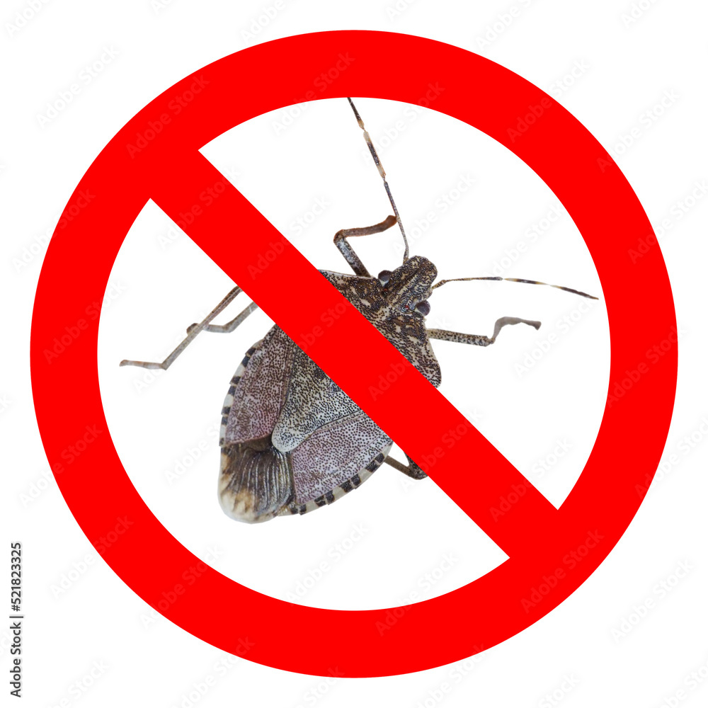 No bugs sign transparent PNG Stock Illustration | Adobe Stock