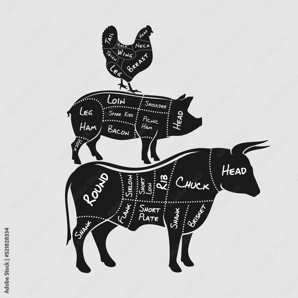 Cuts of pork, beef and chicken. Butchery diagram with silhouette of pig ...