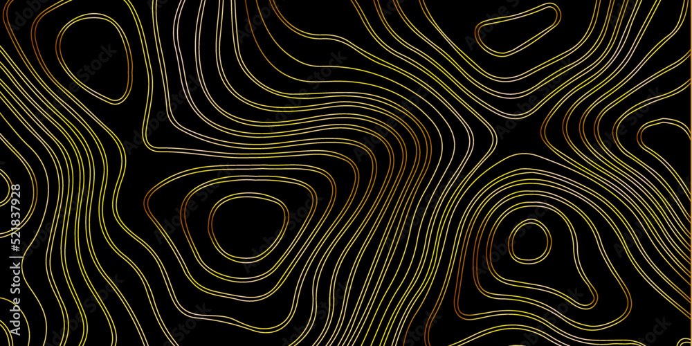 Black and white abstract background Abstracts Topographic map and gold ...
