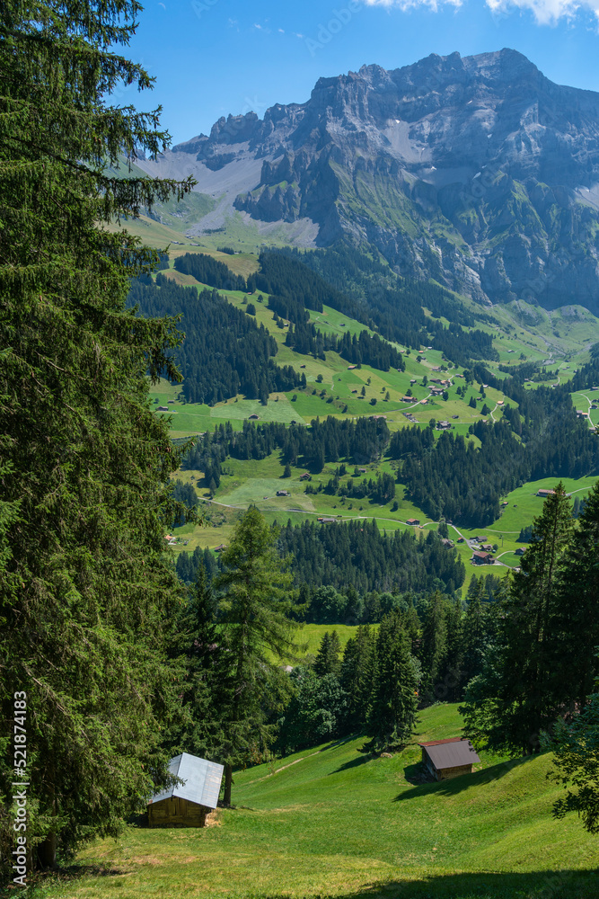 Holzstadel, Scheune, Haus aus Holz am steilen Abhang in Adelboden. auf ...