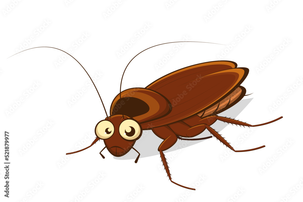 funny cartoon illustration of a cockroach Stock Vector | Adobe Stock
