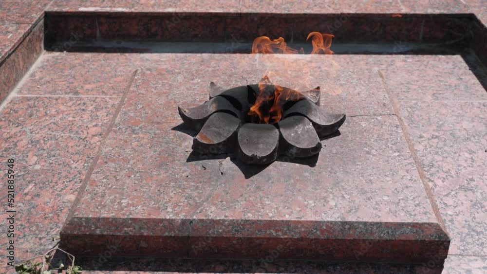 Flame of eternal fire burns in metal bronze black flower in cracked ...