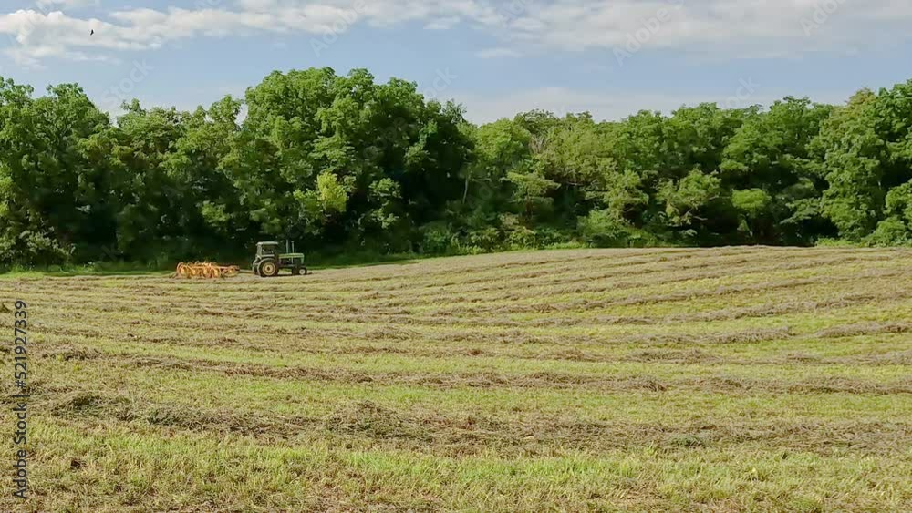 Green tractor pulling hay rake through cut and dried alfalfa to make ...