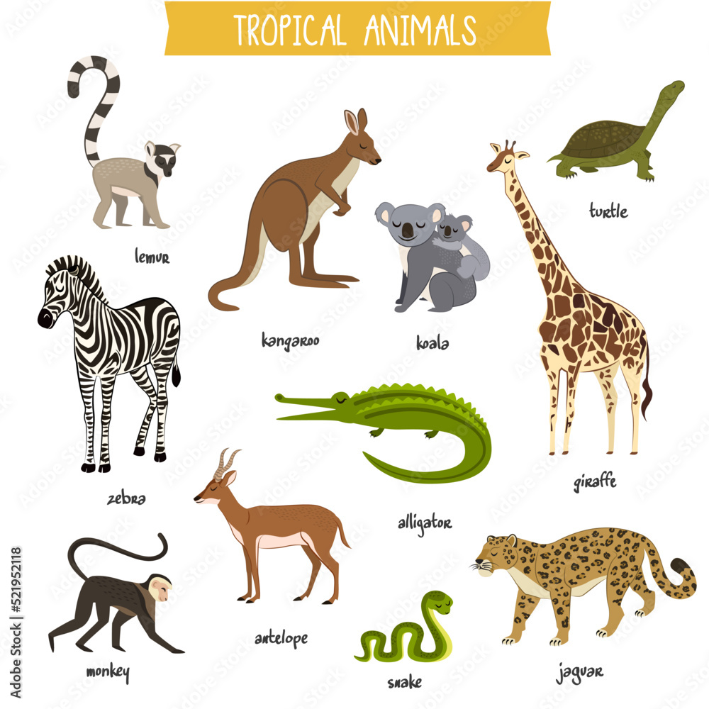 Tropical animals set isolated vector illustration. Zebra, monkey, lemur ...
