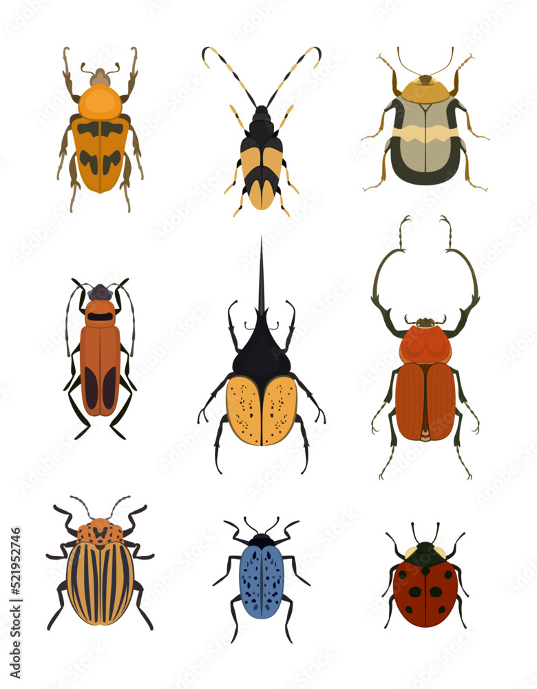 Bug icon set isolated on white background vector illustration. Ladybird ...