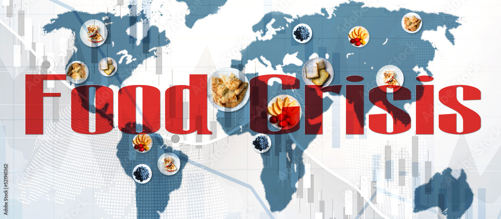 World food crisis, World map with food and income decline graphs, food ...