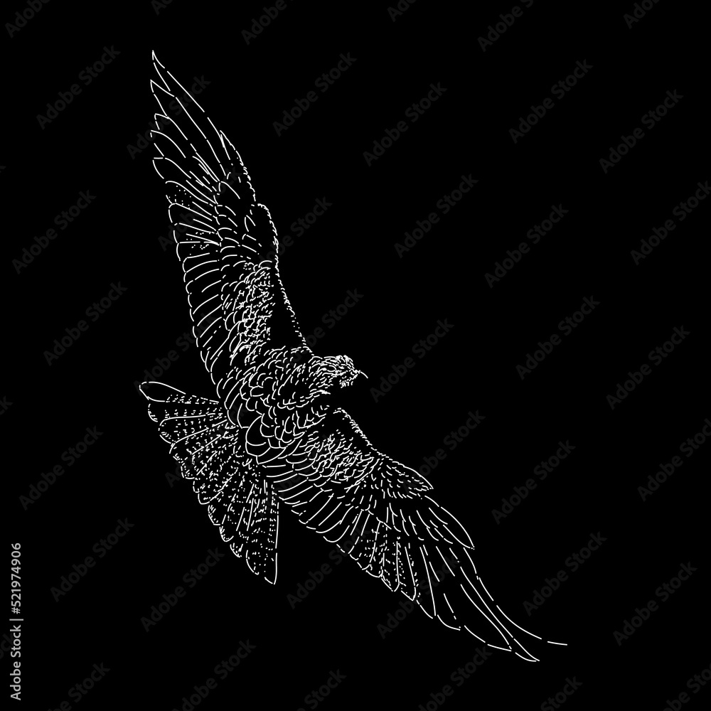 Red Kite hand drawing vector illustration isolated on black background ...