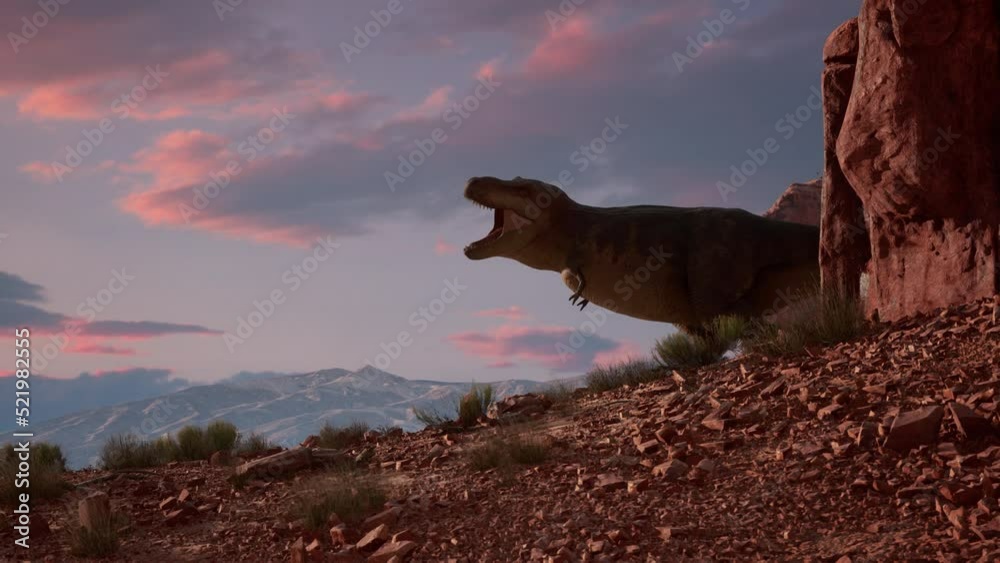 Tyrannosaurus walks through the Canyon in the desert. Dinosaur. T-rex ...