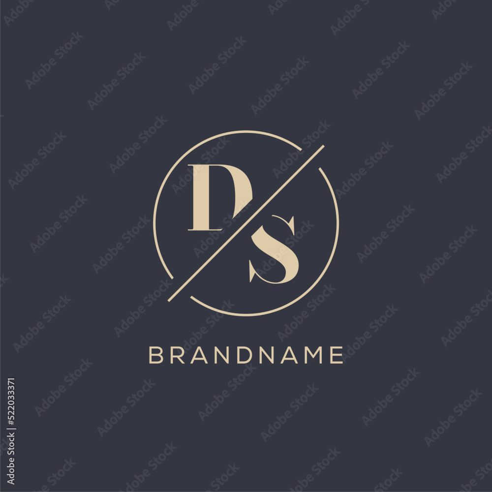 Initial letter DS logo with simple circle line, Elegant look monogram ...