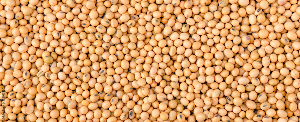Yellow soybean grain. Top view Soybean pattern as for background. Raw ...