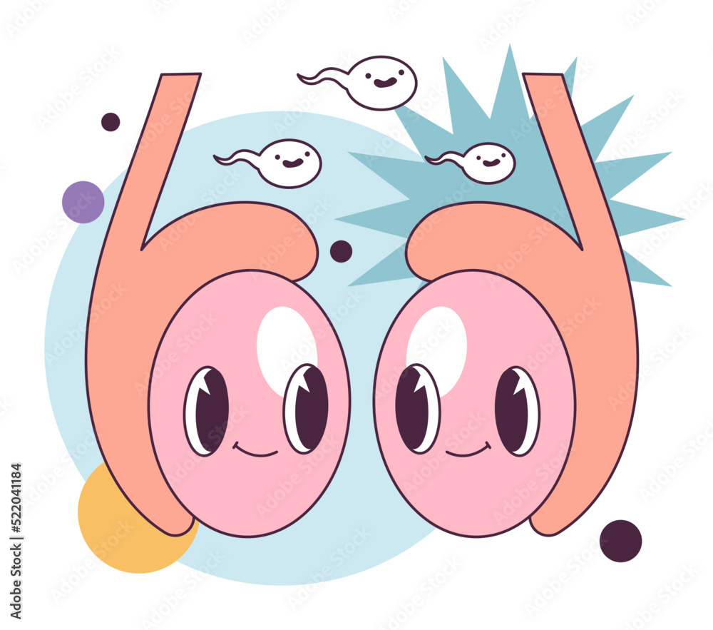 Male Reproductive System Healthy Male Testis Reproductive System Stock Vector Adobe Stock