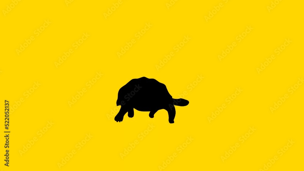 Walking turtle, animation on the yellow background (seamless loop ...