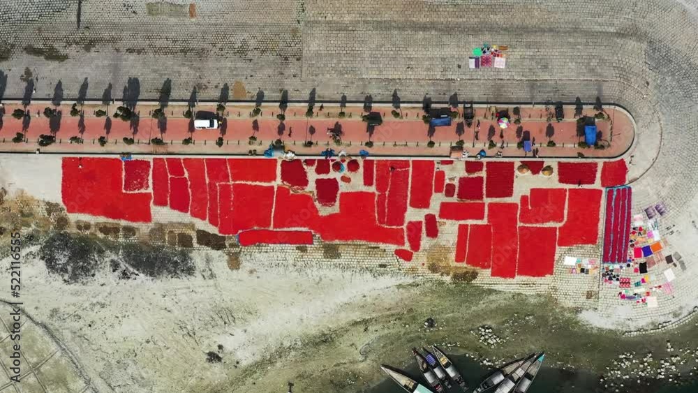 Red chilli pepper drying process. Bogra, Bangladesh. Stock Video ...