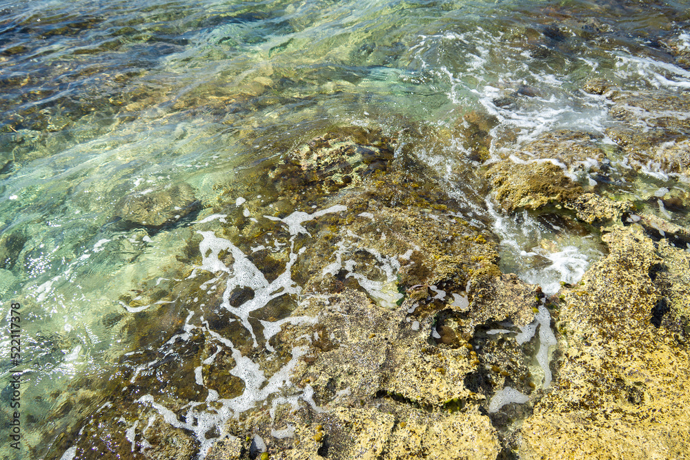 Stone reef covered with green sea water. The coastal cliff is washed by ...
