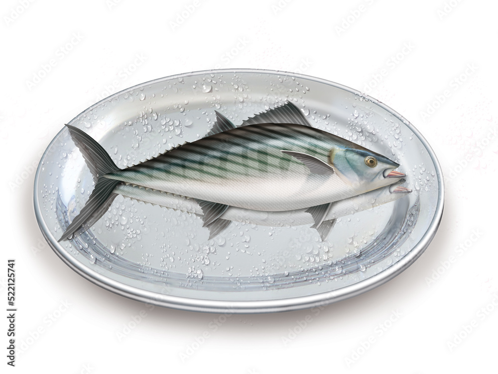 bonites à dos rayé , poisson, plateau, pêche, aliment, frais, fruits de ...