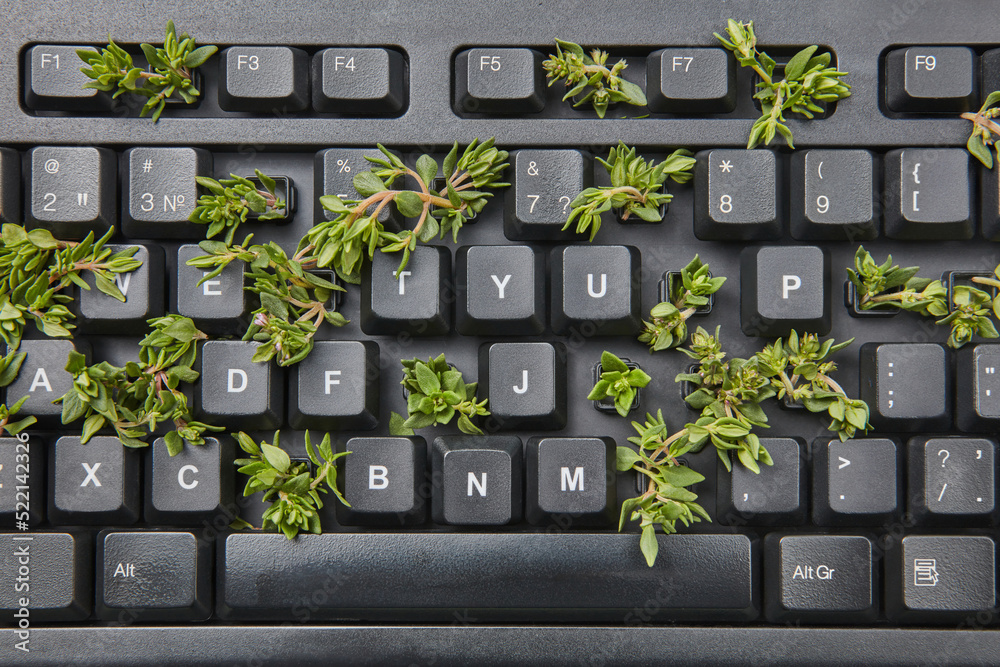 Plants growing out of computer keyboard Stock Photo | Adobe Stock