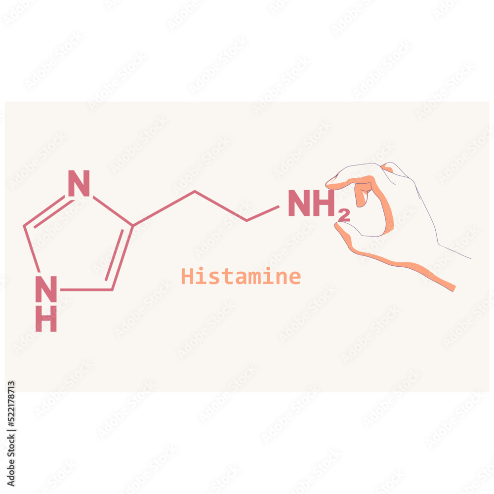 Hand holding chemical molecular formula of histamine. Stock Vector ...