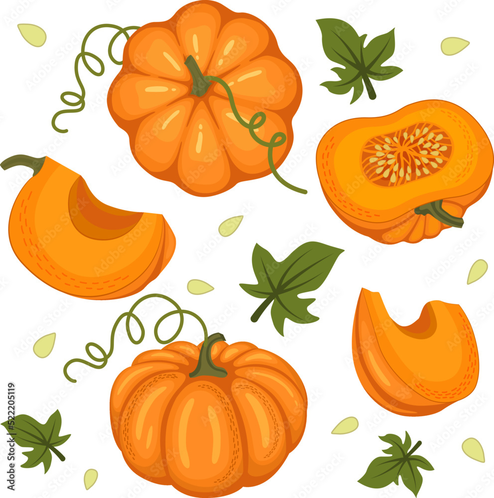 Pumpkin set of ripe pumpkins, leaves, pumpkin slices, seeds. Vector ...