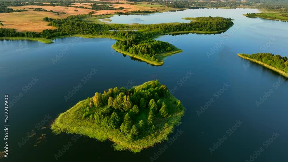 Desert island in lake. Island with forest in lake, aerial view. Green ...