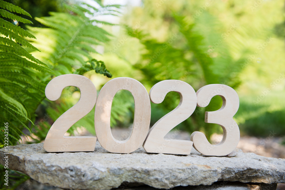 wooden numbers 2023 on a green background fern leaves. happy new year ...