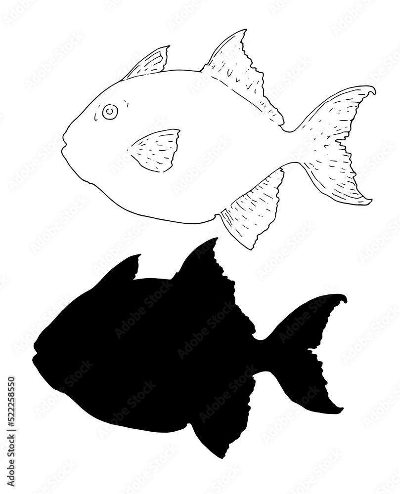 Vecteur Stock fish Greg triggerfish outline black silhouette. hand ...