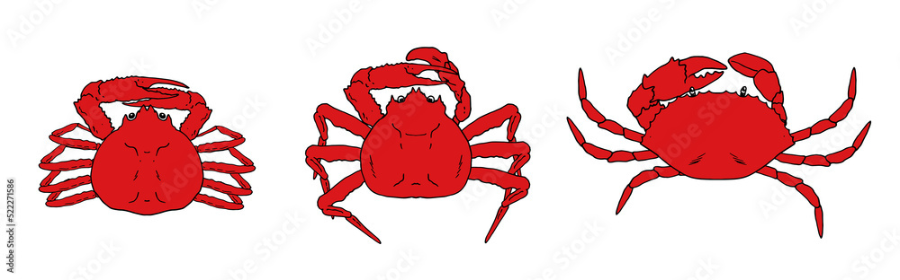 set of red crabs. A collection of elements of seafood CRABS, of ...