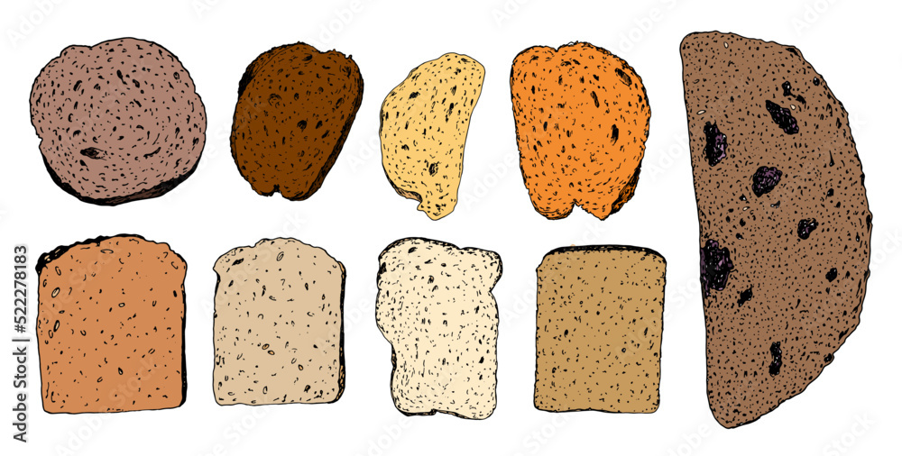 a set of slices of bread in color. collection hand-drawn sketch of ...