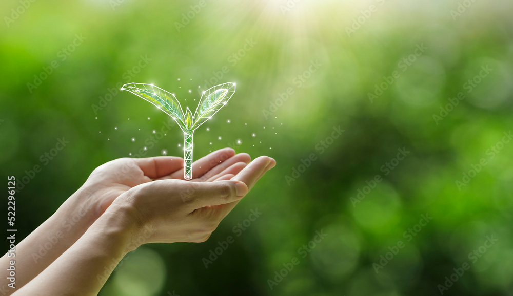 Concept eco earth day.Earth Day environmental protection. hands holding ...