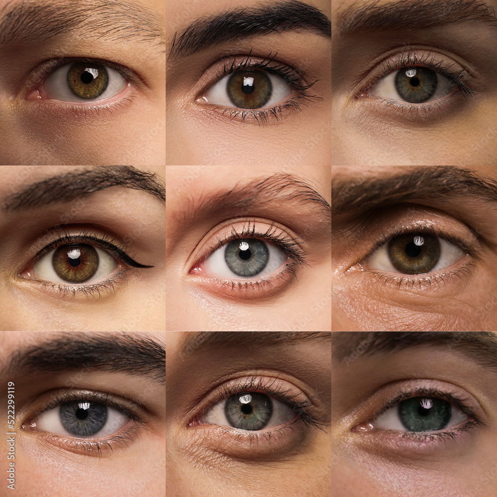 Brown Eye Collage