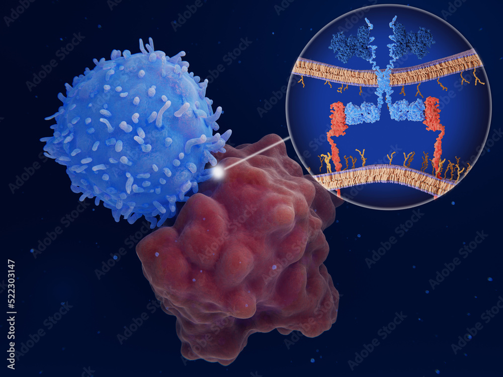Chimeric antigen receptor (CAR) therapy: Engineered T-cell attacks a ...