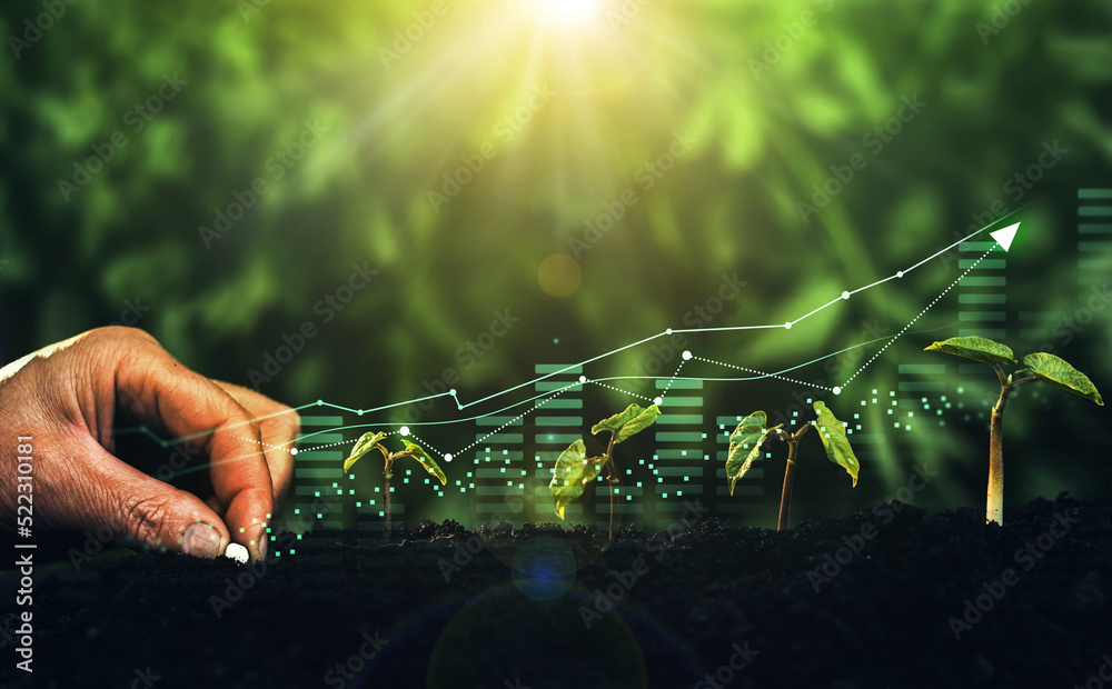 Young plants increase on sunny background.Growing money,finance and ...