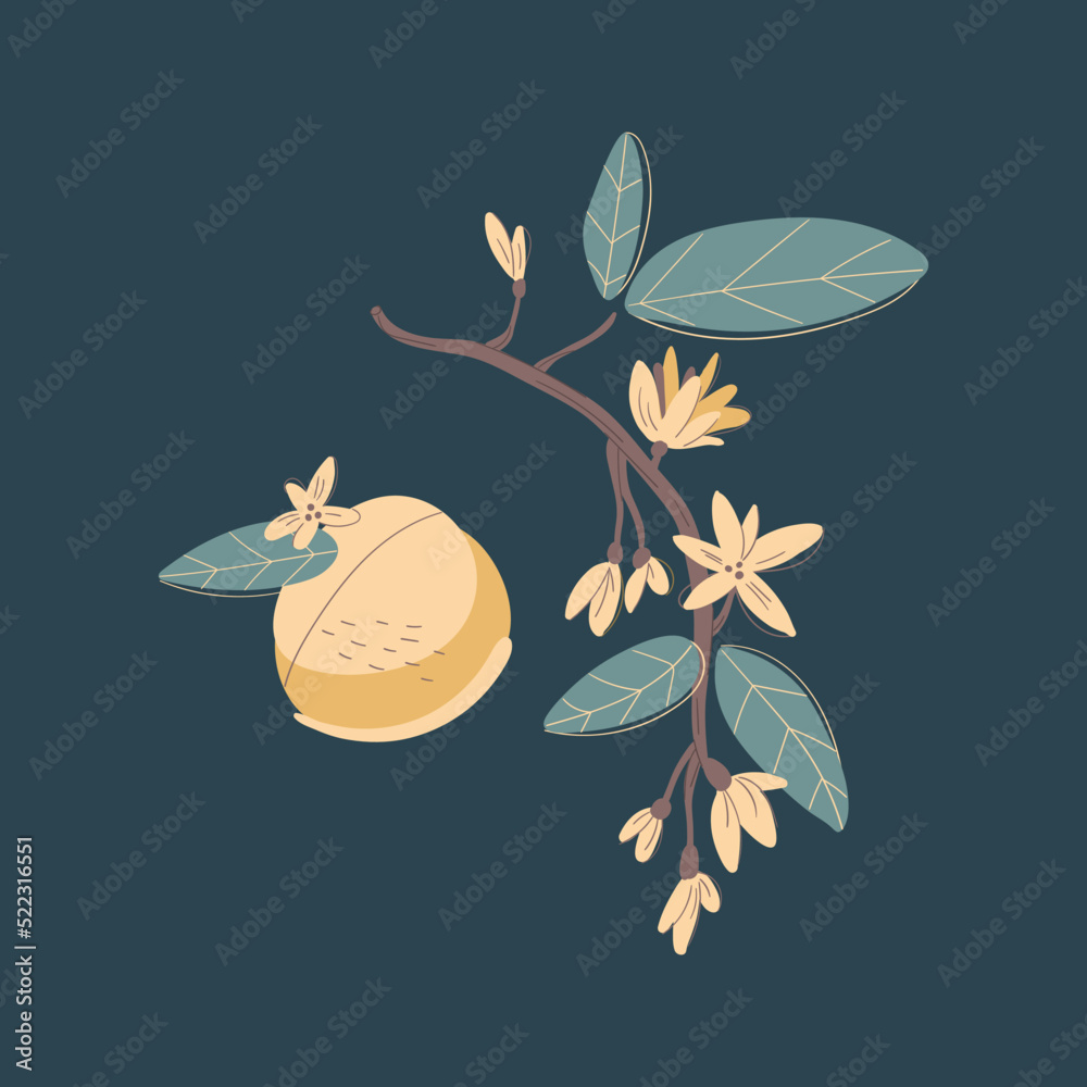 Magic moon night garden with insect moths flowers and plants Stock ...