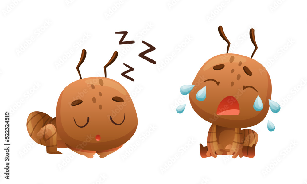 Cute little ant sleeping and crying. Funny insect in everyday ...