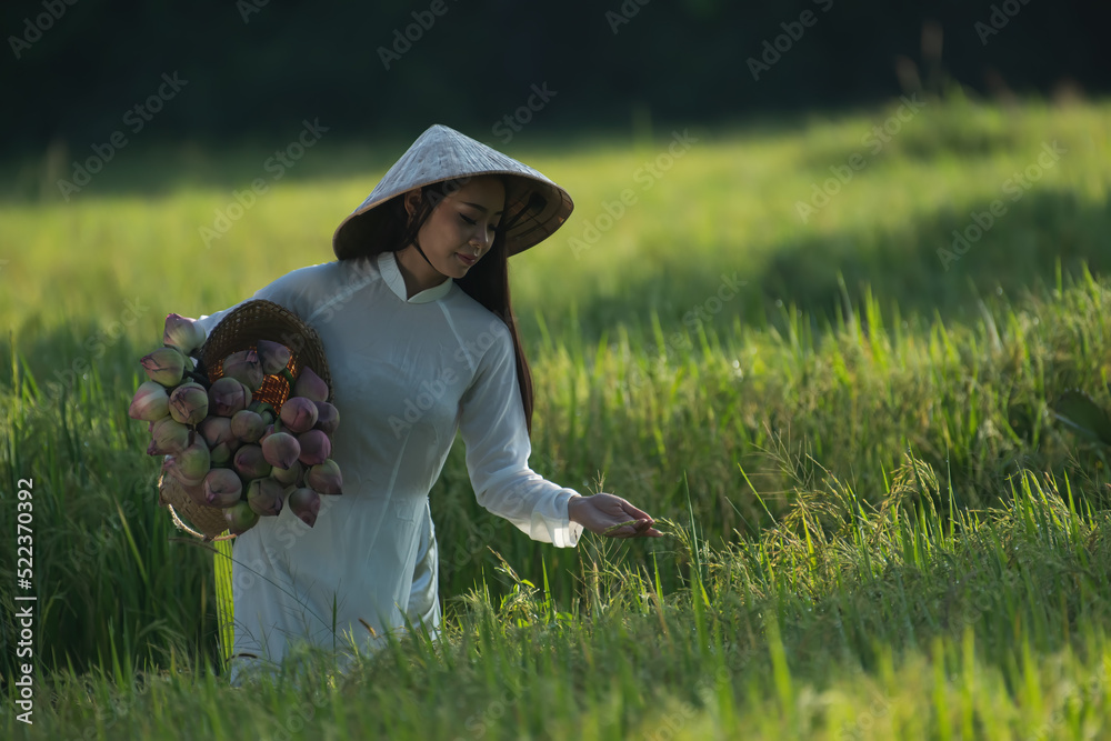 Portrait of Beautiful Asian girls with Ao Dai on Green Rice fields ...
