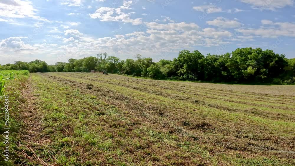 wide angle view of alfalfa field with green tractor pulling hay rake ...