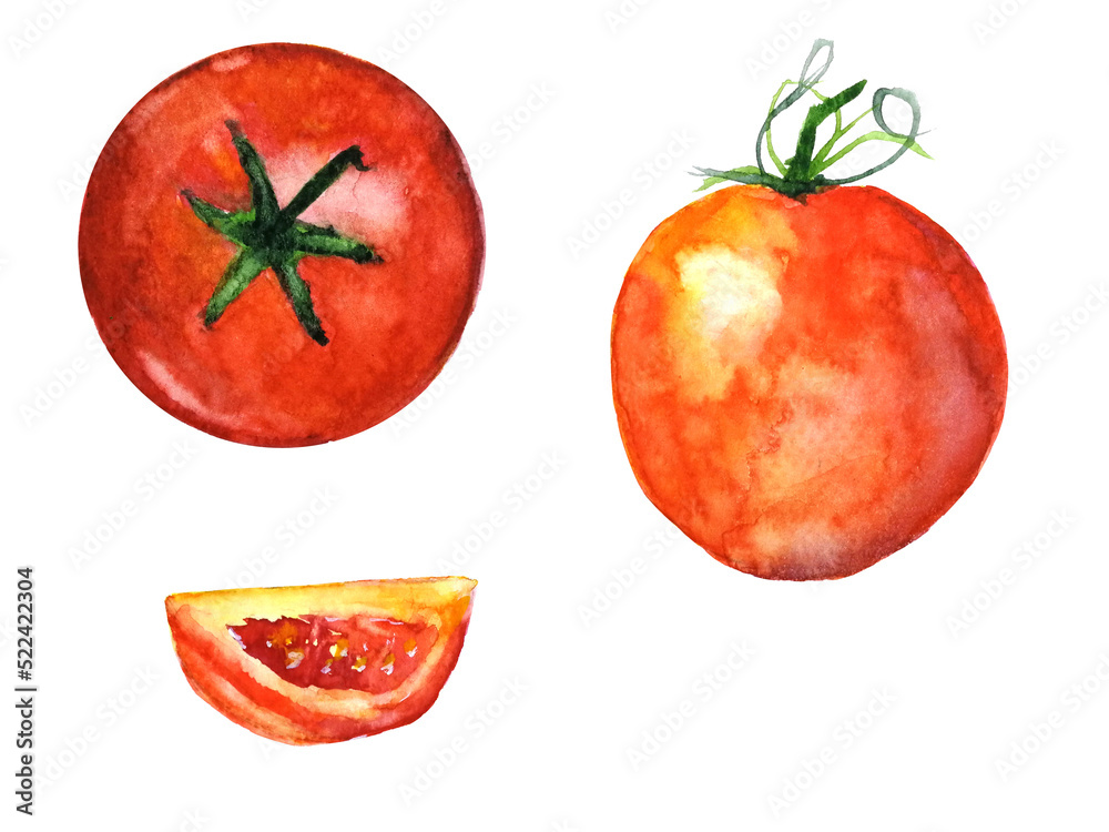 Watercolor tomato.hand drawn illustration png. Stock Illustration ...