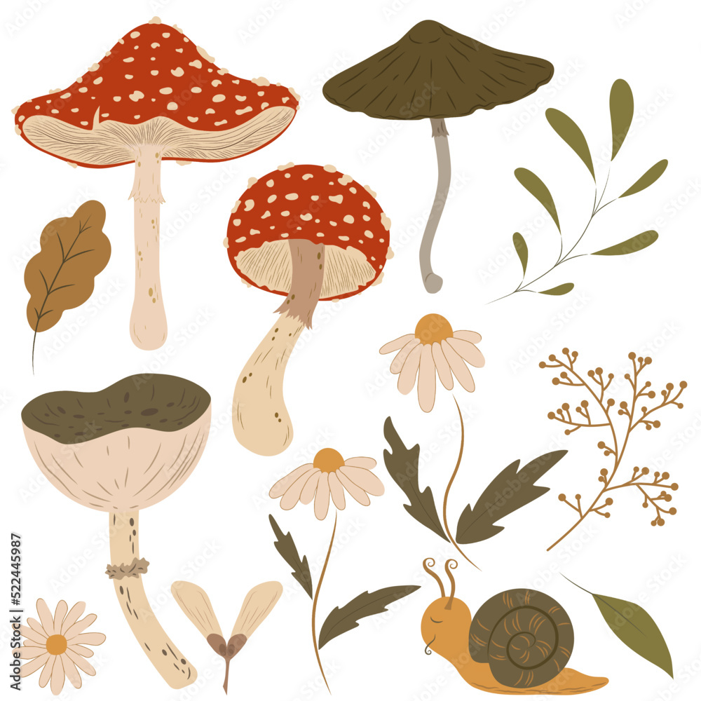 Forest plants clipart collection. Wild botanical set. Hand drawn ...
