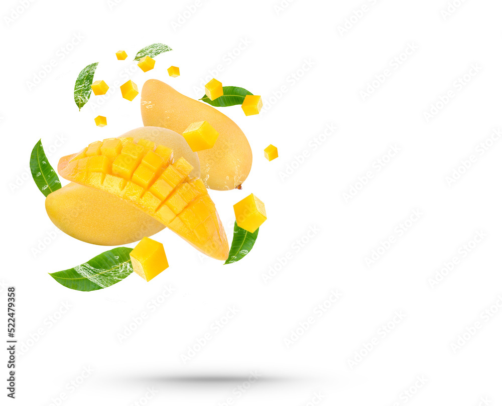 Water Splash on fresh mango with leaves Isolated on transparent ...