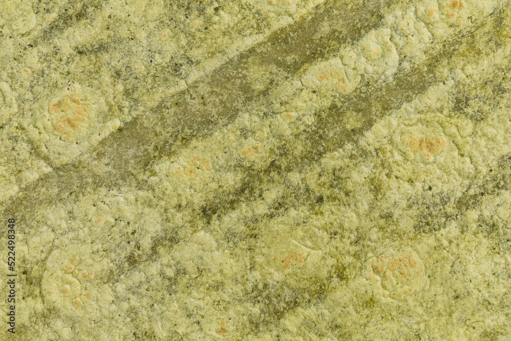 Spinach flavored wheat tortilla wraps. Spanish or Mexican circular ...