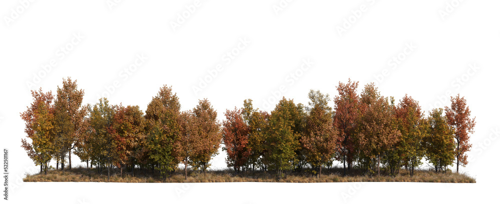 Trees and grass Autumn on a transparent background Stock Illustration ...
